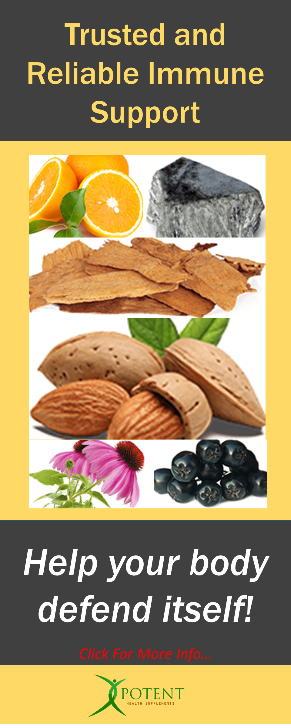 Natural Immune System Booster